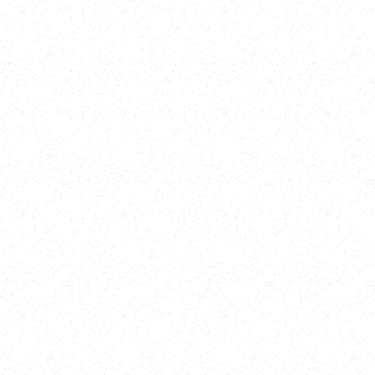 Global Conference in USA