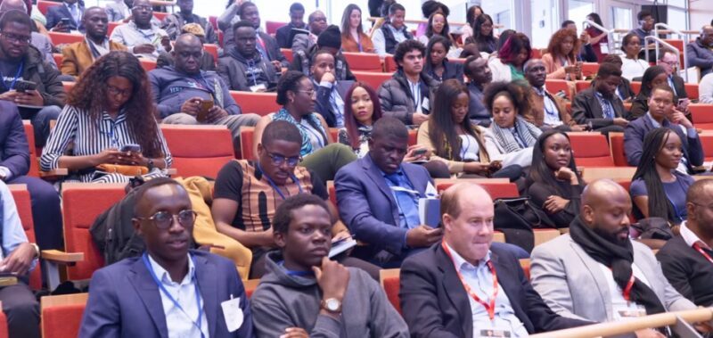 What is an African Business Conference?